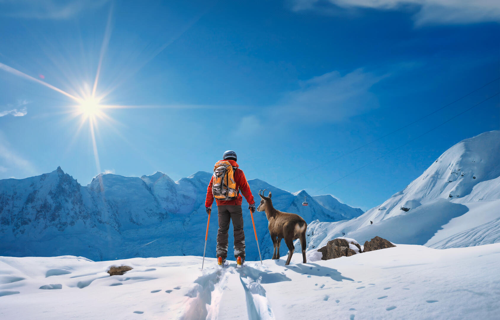 RECONNECT WITH NATURE : Chamonix Mont Blanc